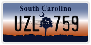 South Carolina License Plate Lookup: Report a SC Plate (Free Search)