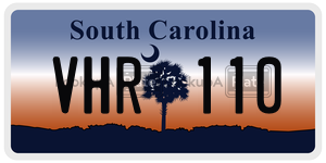 South Carolina License Plate Lookup: Report a SC Plate (Free Search)