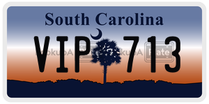 South Carolina License Plate Lookup: Report a SC Plate (Free Search)