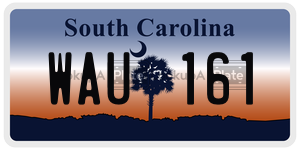 South Carolina License Plate Lookup: Report a SC Plate (Free Search)