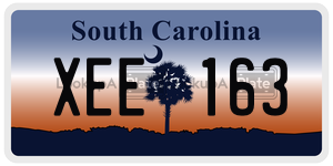 South Carolina License Plate Lookup: Report a SC Plate (Free Search)