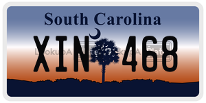 South Carolina License Plate Lookup: Report a SC Plate (Free Search)