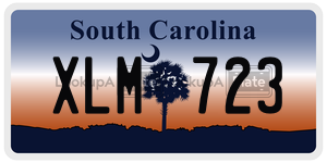 South Carolina License Plate Lookup: Report a SC Plate (Free Search)