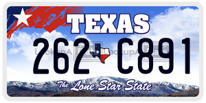 262C891 (TX) License Plate: User Reports & Vehicle Information!