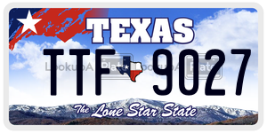 Texas License Plate Lookup: Report a TX Plate (Free Search)