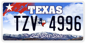 Texas License Plate Lookup: Report a TX Plate (Free Search)