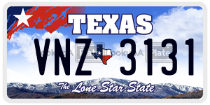 Texas License Plate Lookup: Report a TX Plate (Free Search)
