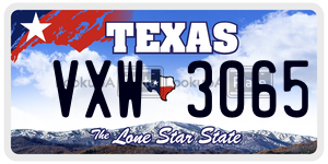 VXW3065 (TX) License Plate: User Reports & Vehicle Information!
