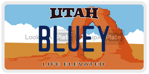 BLUEY (UT) License Plate: User Reports & Vehicle Information!