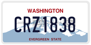 Washington License Plate Lookup: Report a WA Plate (Free Search)