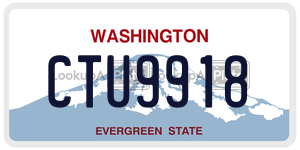 Washington License Plate Lookup: Report a WA Plate (Free Search)